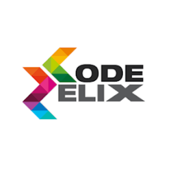IT Consultancy & Services | Custom Software Development - CodeRelix